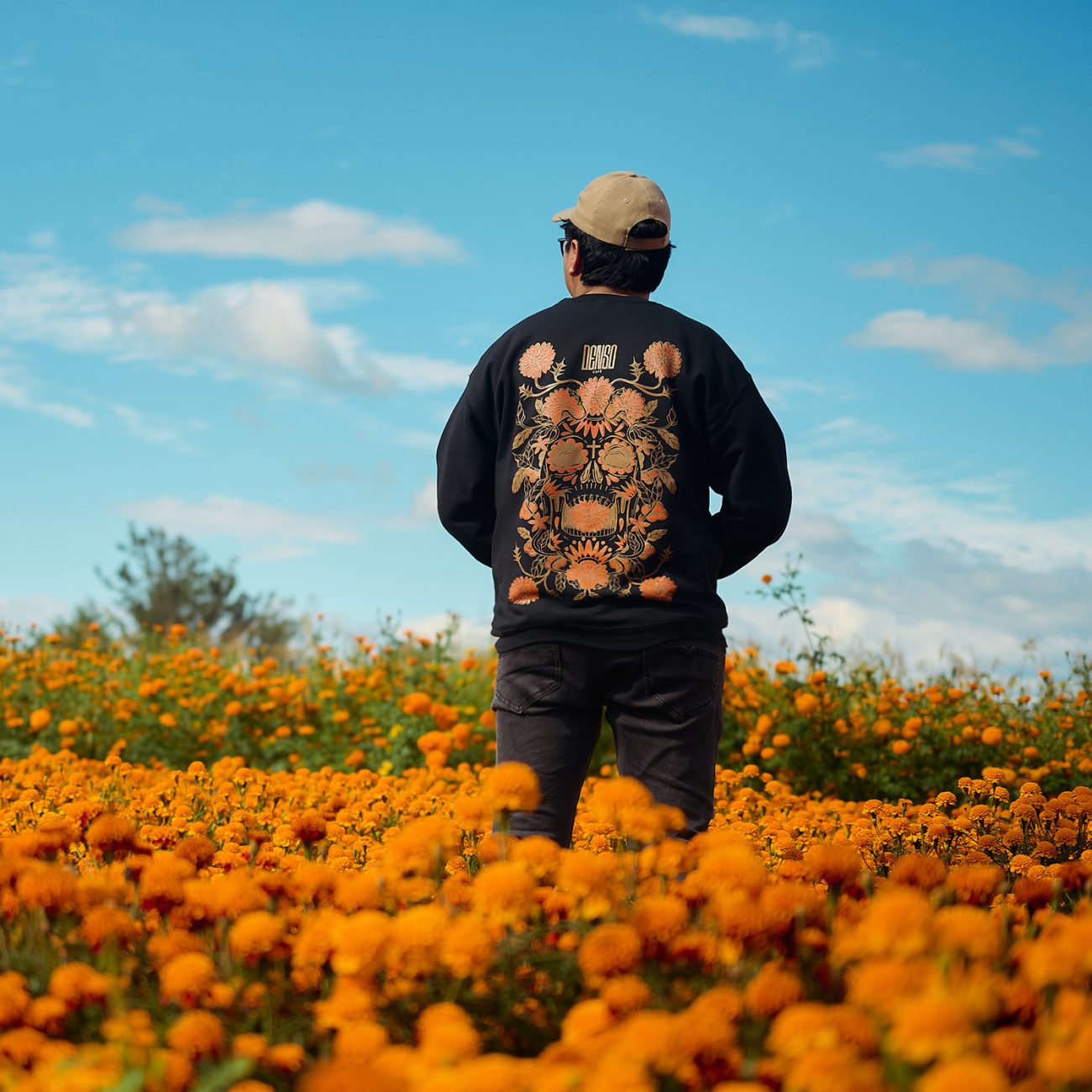 Denso Café | Cafés Mexicanos de Especialidad